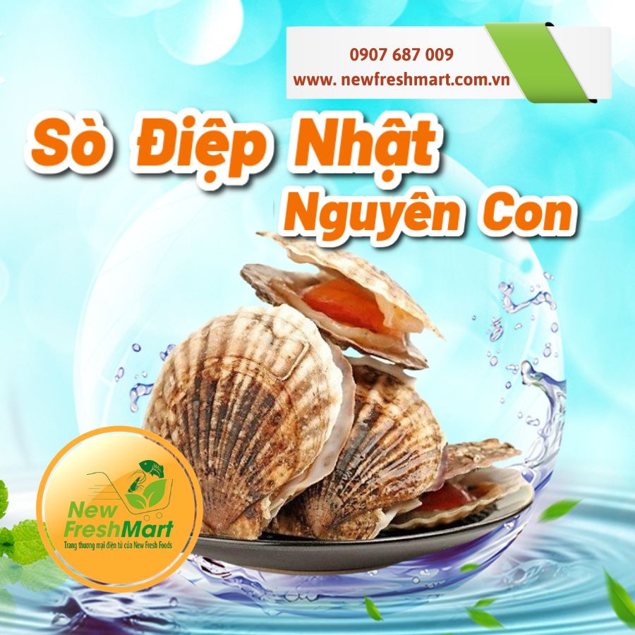 Sò Điệp Nhật Nguyên Vỏ New Fresh