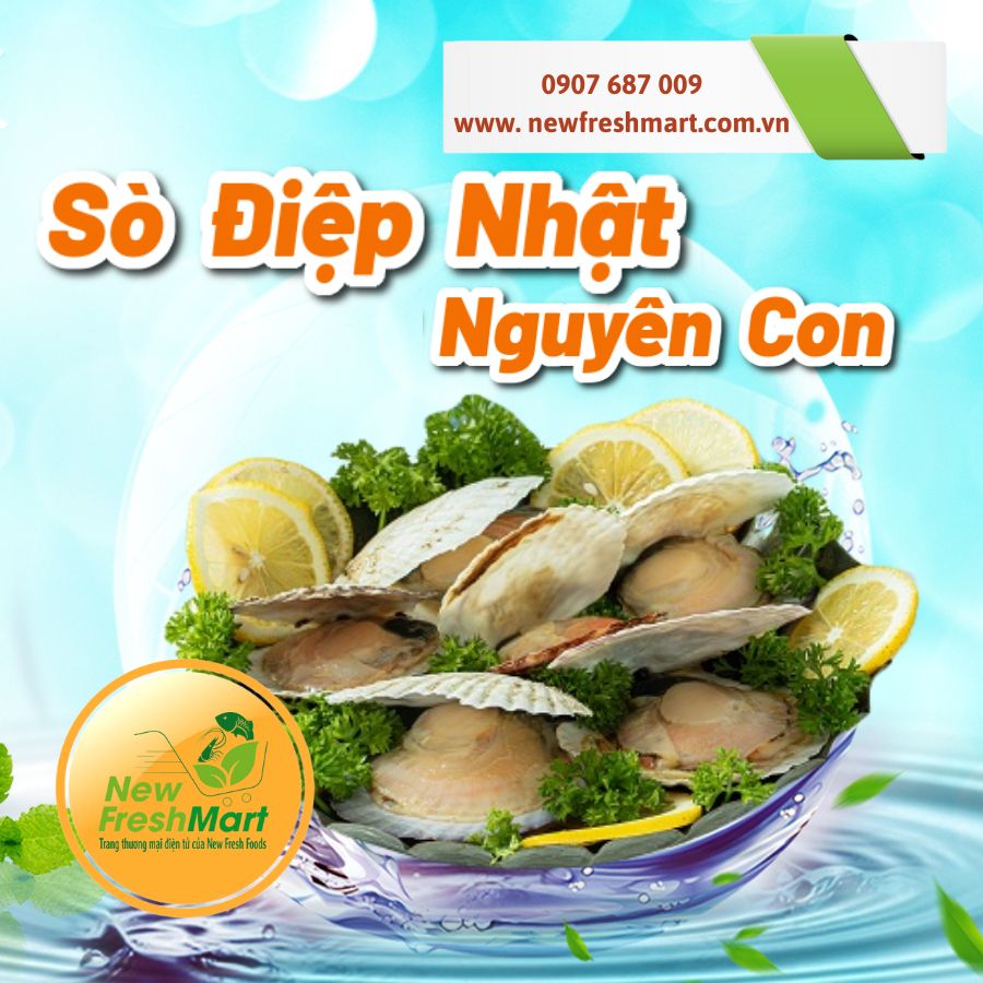 Sò Điệp Nhật Nguyên Vỏ New Fresh