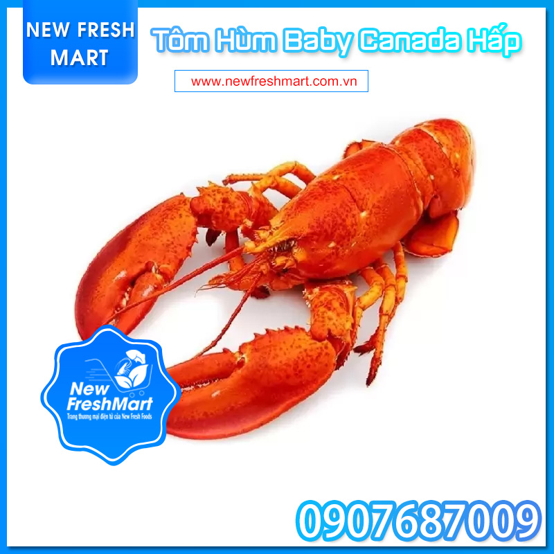 Tôm Hùm Baby Canada Hấp